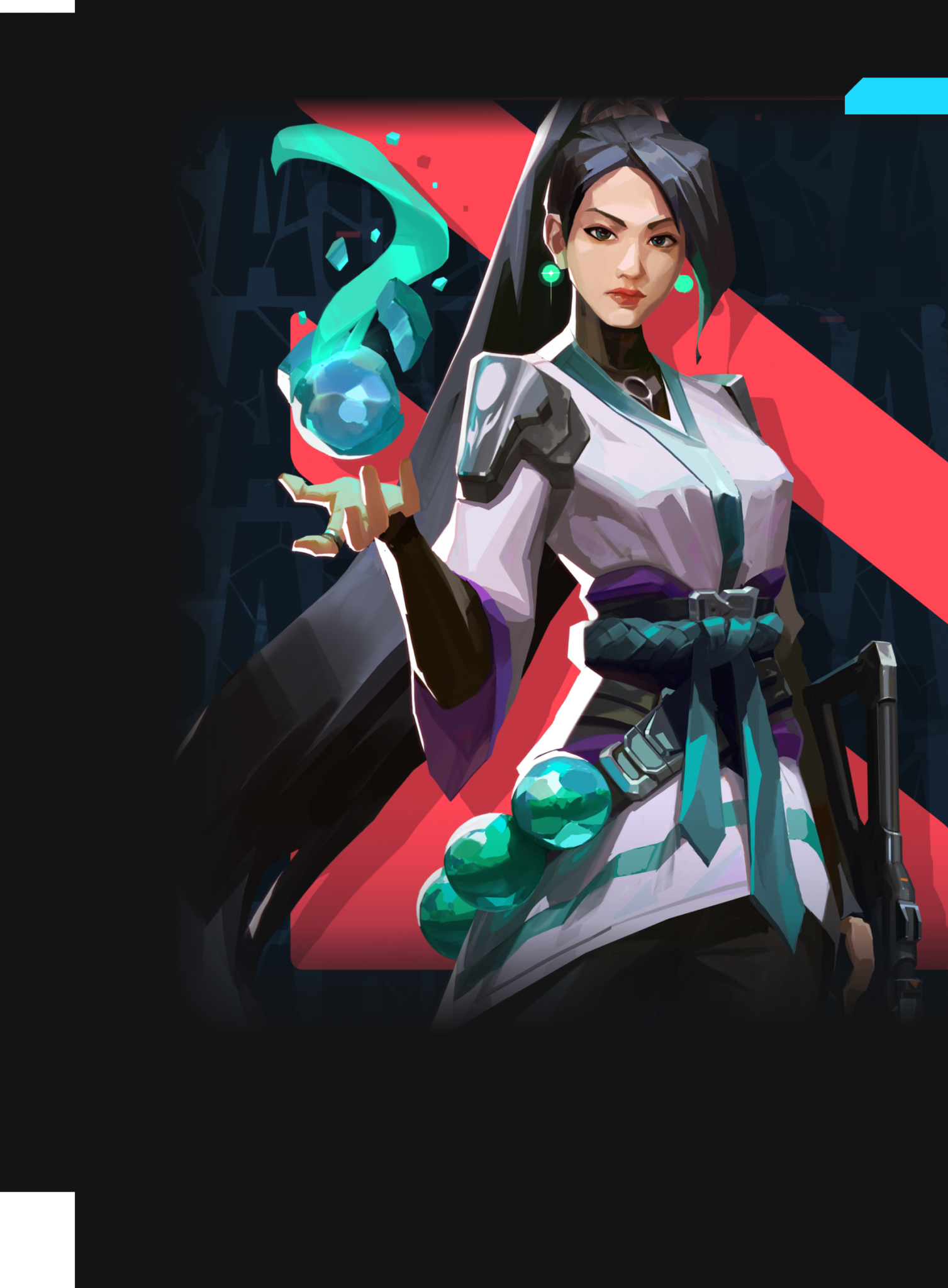 The VALORANT Data Portal